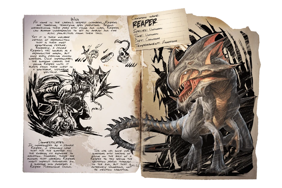 Badlands Ark Ascended - Welcome To Badlands Shop, All donations go to ...